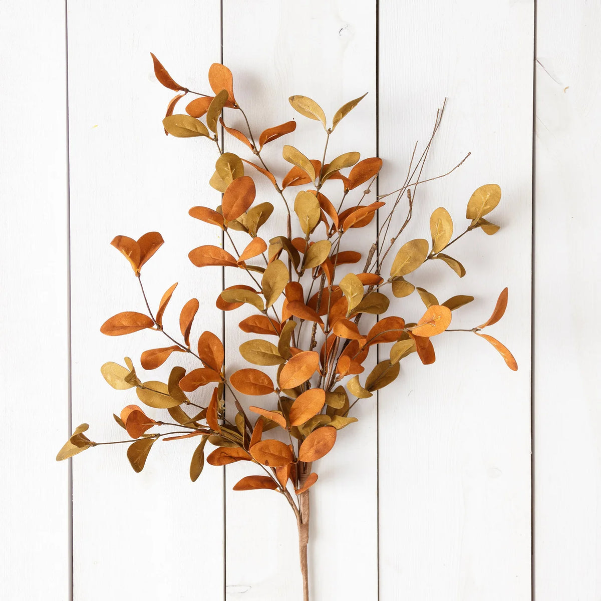 Rust and Tan Fall Leaves Branch – Beautiful Journey